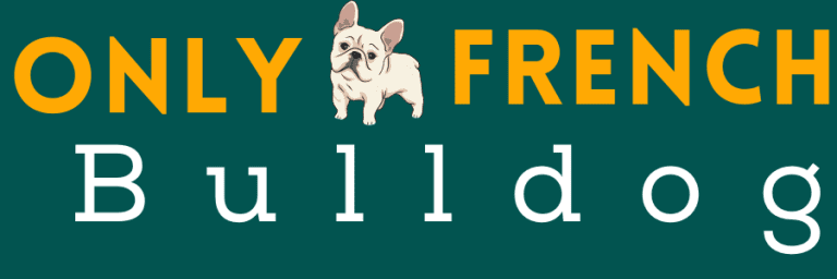 Albino French Bulldogs: Everything You Need To Know