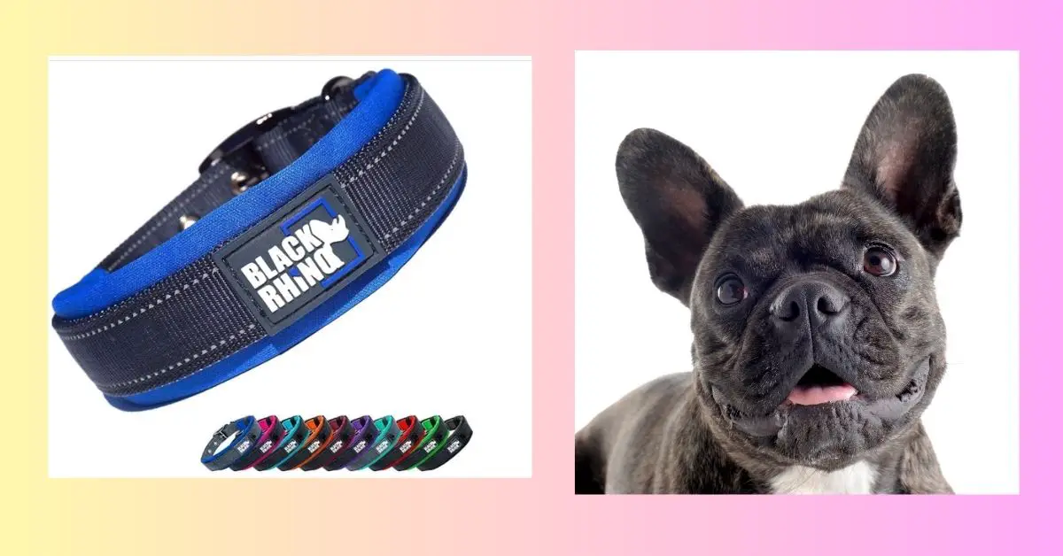 5 Best Dog Collar For French Bulldog: Top Picks And Buying Guide