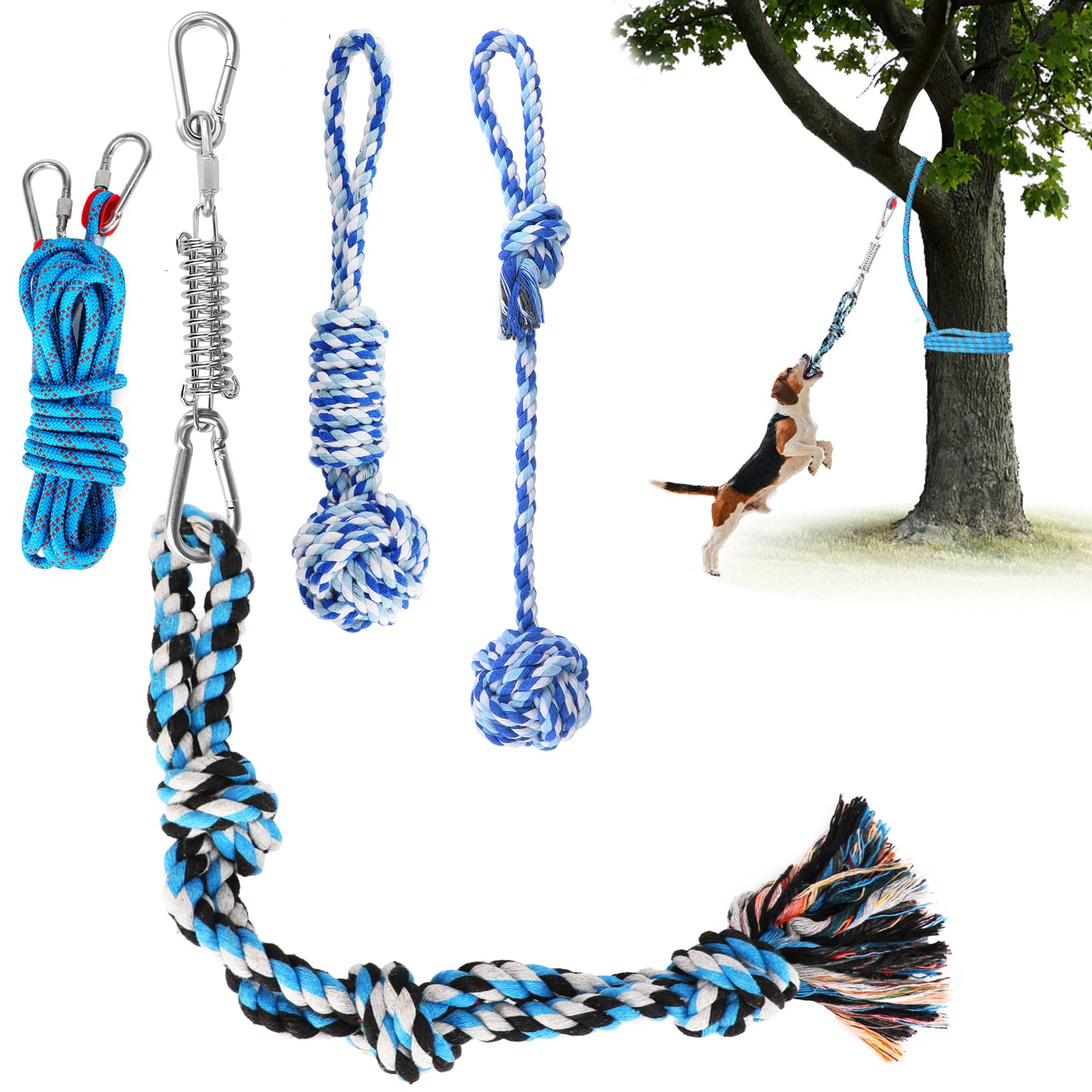 Best Outdoor Dog Swing For Large Dogs: Top Durable Picks