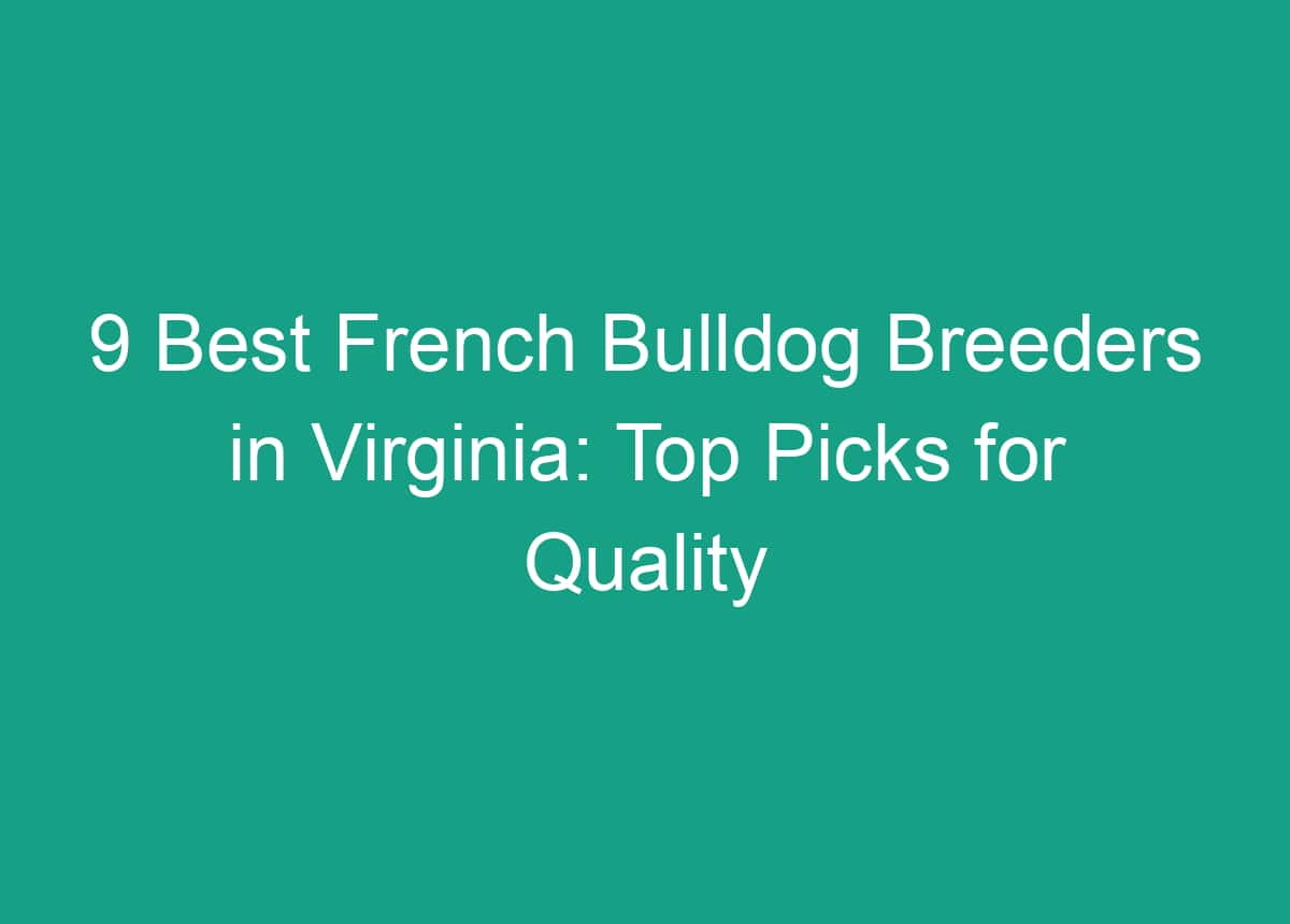 9 Best French Bulldog Breeders In Virginia: Top Picks For Quality Puppies