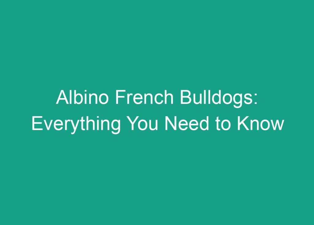 French Bulldog Breeders In Alaska: Where To Find Your Perfect Companion