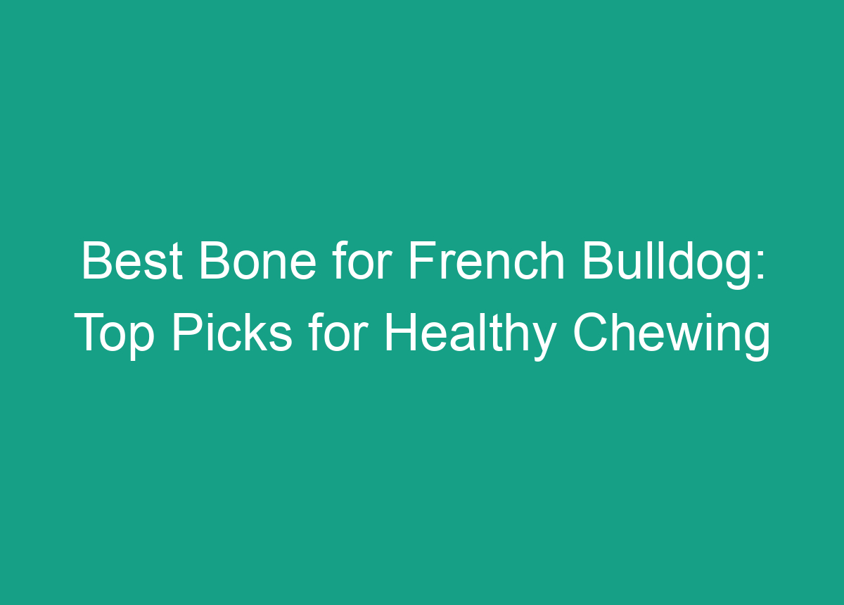Best Bone For French Bulldog: Top Picks For Healthy Chewing