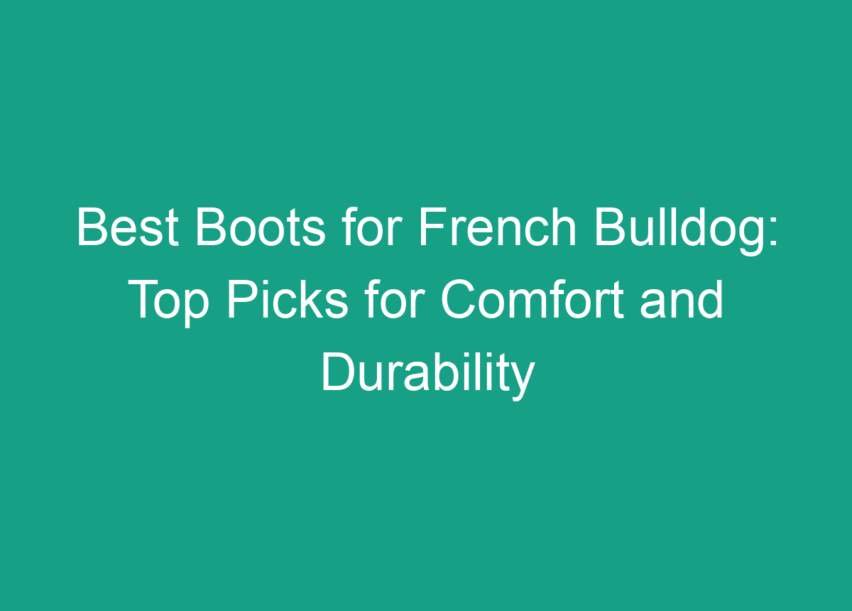 Best Boots For French Bulldog: Top Picks For Comfort And Durability