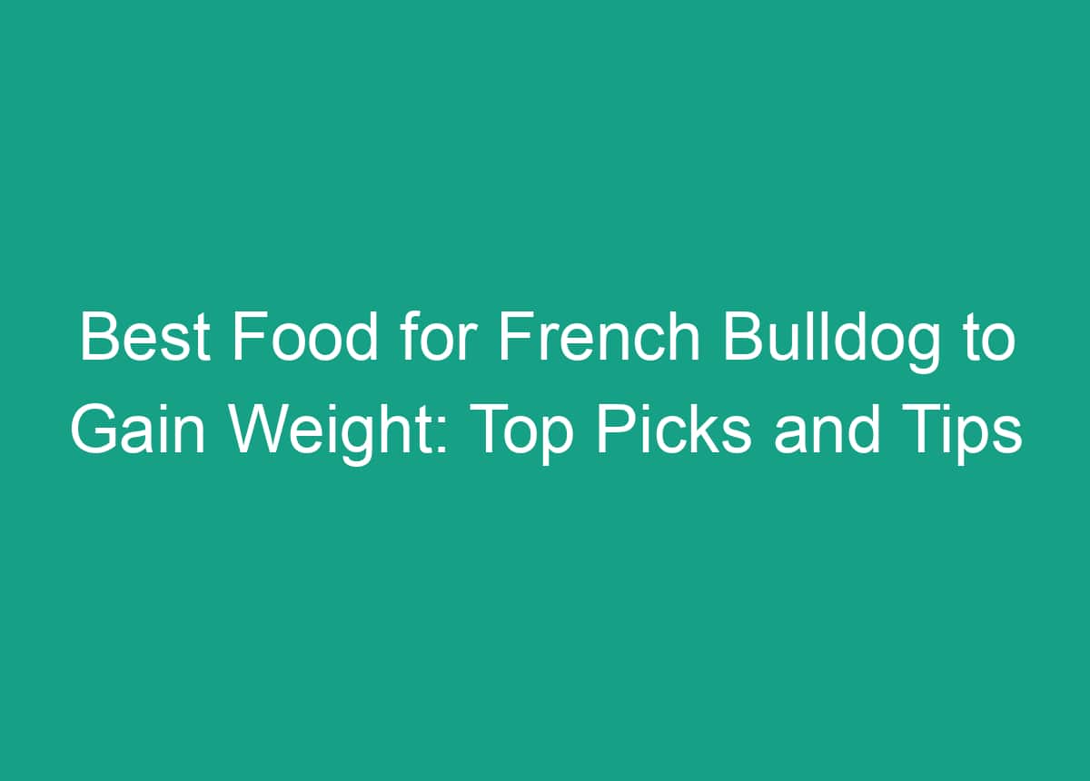 Best Food For French Bulldog To Gain Weight: Top Picks And Tips