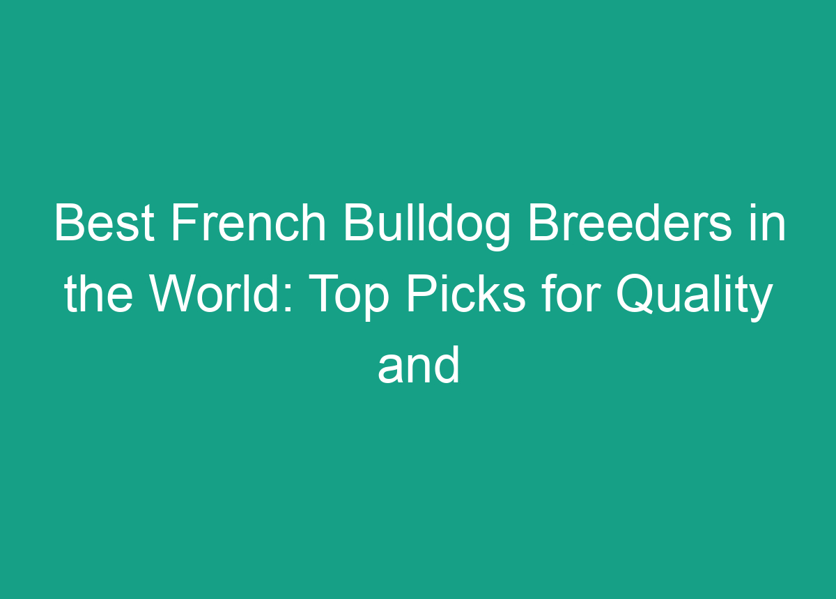 Best French Bulldog Breeders In The World: Top Picks For Quality And ...