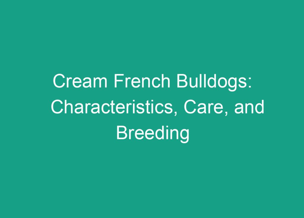 5 Must-Know Tips For Raising A Healthy Frenchie Pup