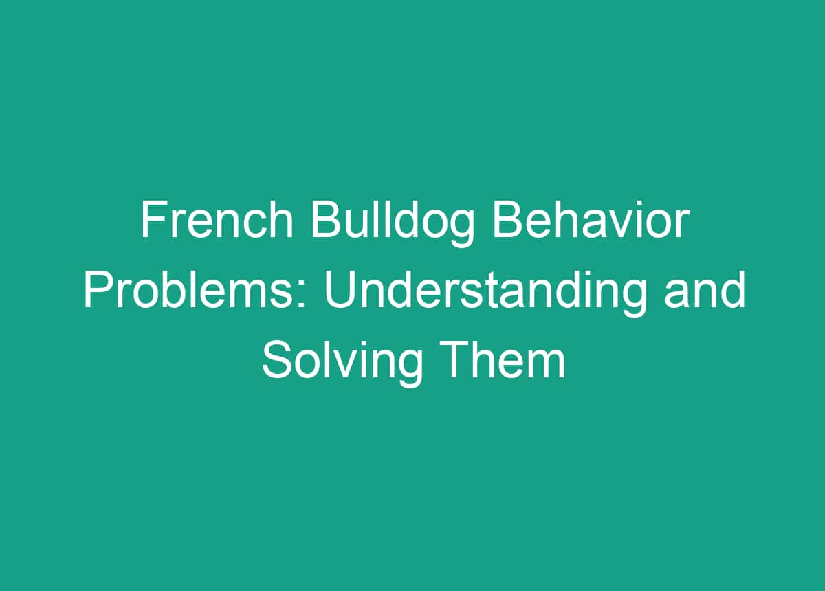 French Bulldog Behavior Problems: Understanding And Solving Them