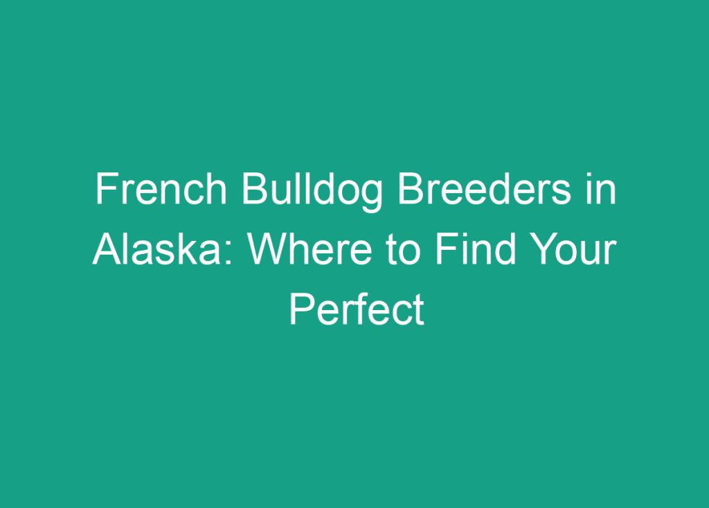 French Bulldog Growth Stages: A Comprehensive Guide