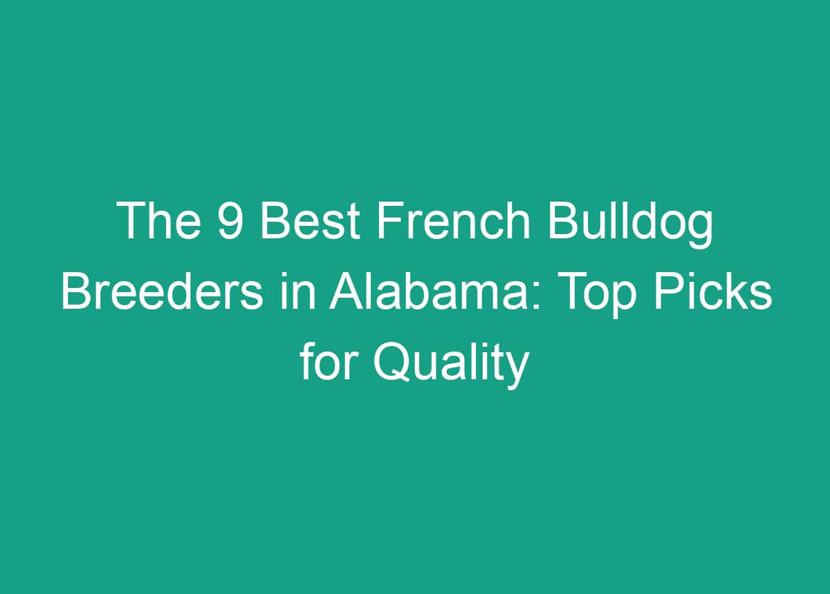 The 9 Best French Bulldog Breeders In Alabama: Top Picks For Quality Pups