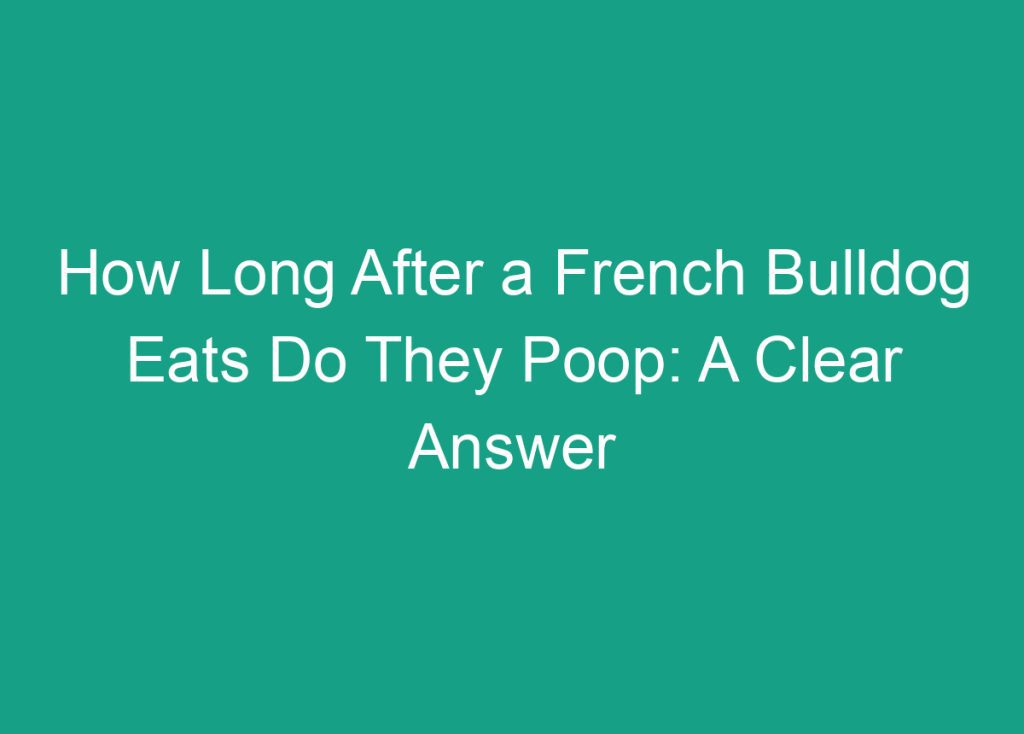 French Bulldog Anatomy Organs: A Comprehensive Guide