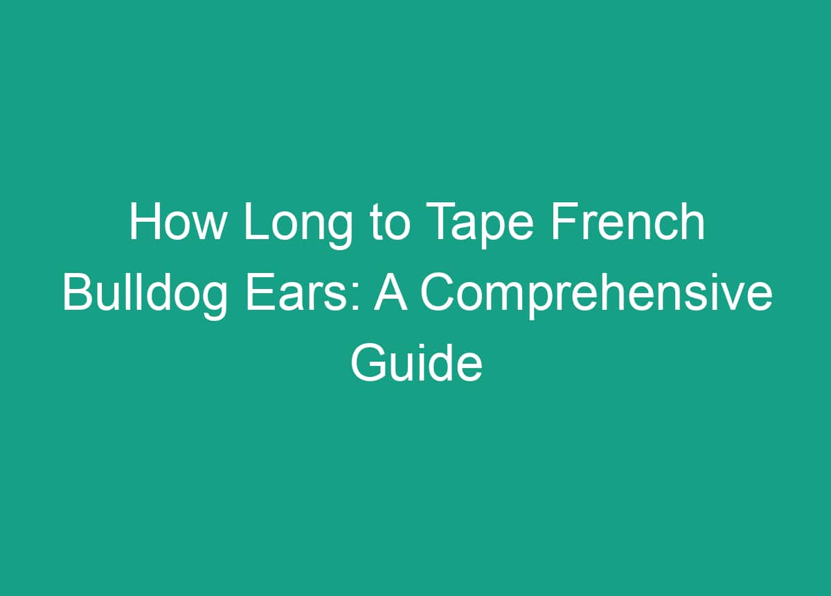 How Long To Tape French Bulldog Ears: A Comprehensive Guide