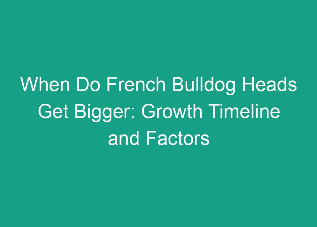 French Bulldog Health Problems: Common Issues And Preventive Measures