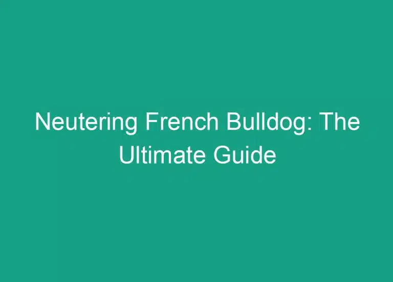 How To Draw A French Bulldog [Disclosed]