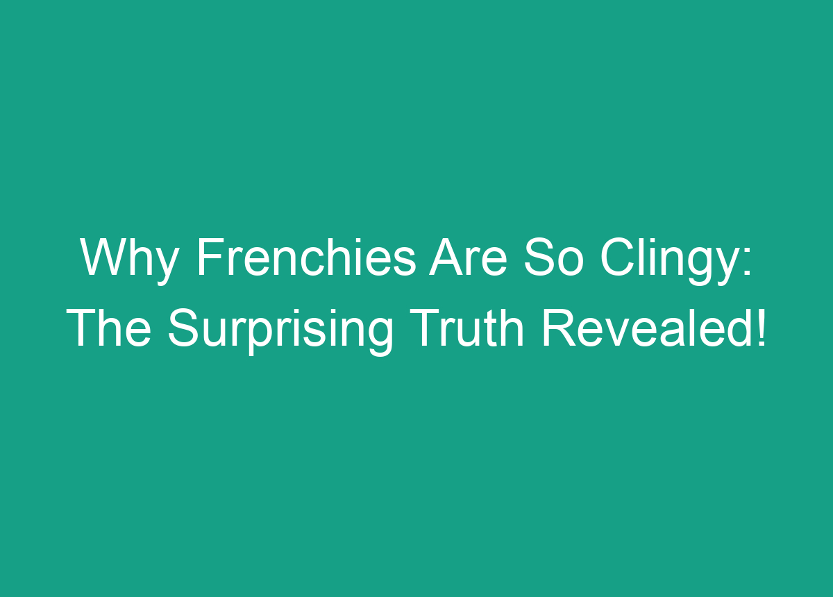Why Frenchies Are So Clingy: The Surprising Truth Revealed!
