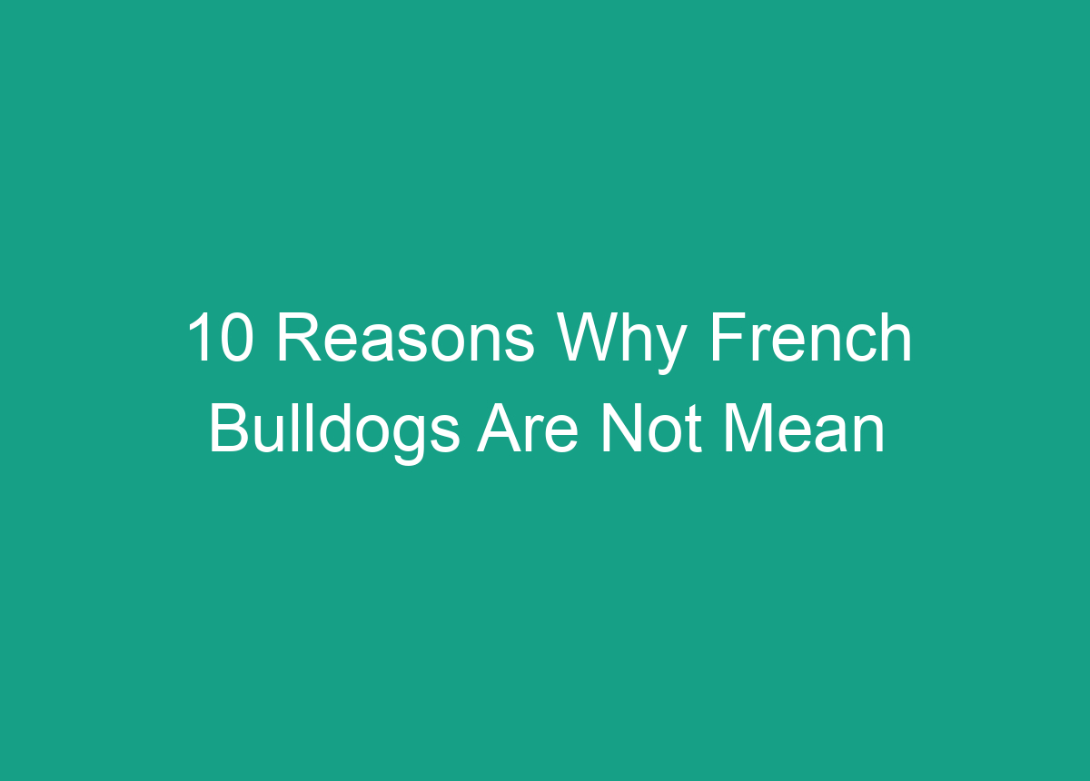6 Signs Your French Bulldog Is Aggressive And How To Deal With It