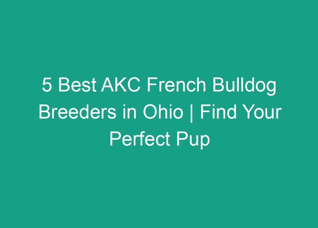 Best French Bulldog Breeders In Midwest: Top Picks And Expert ...