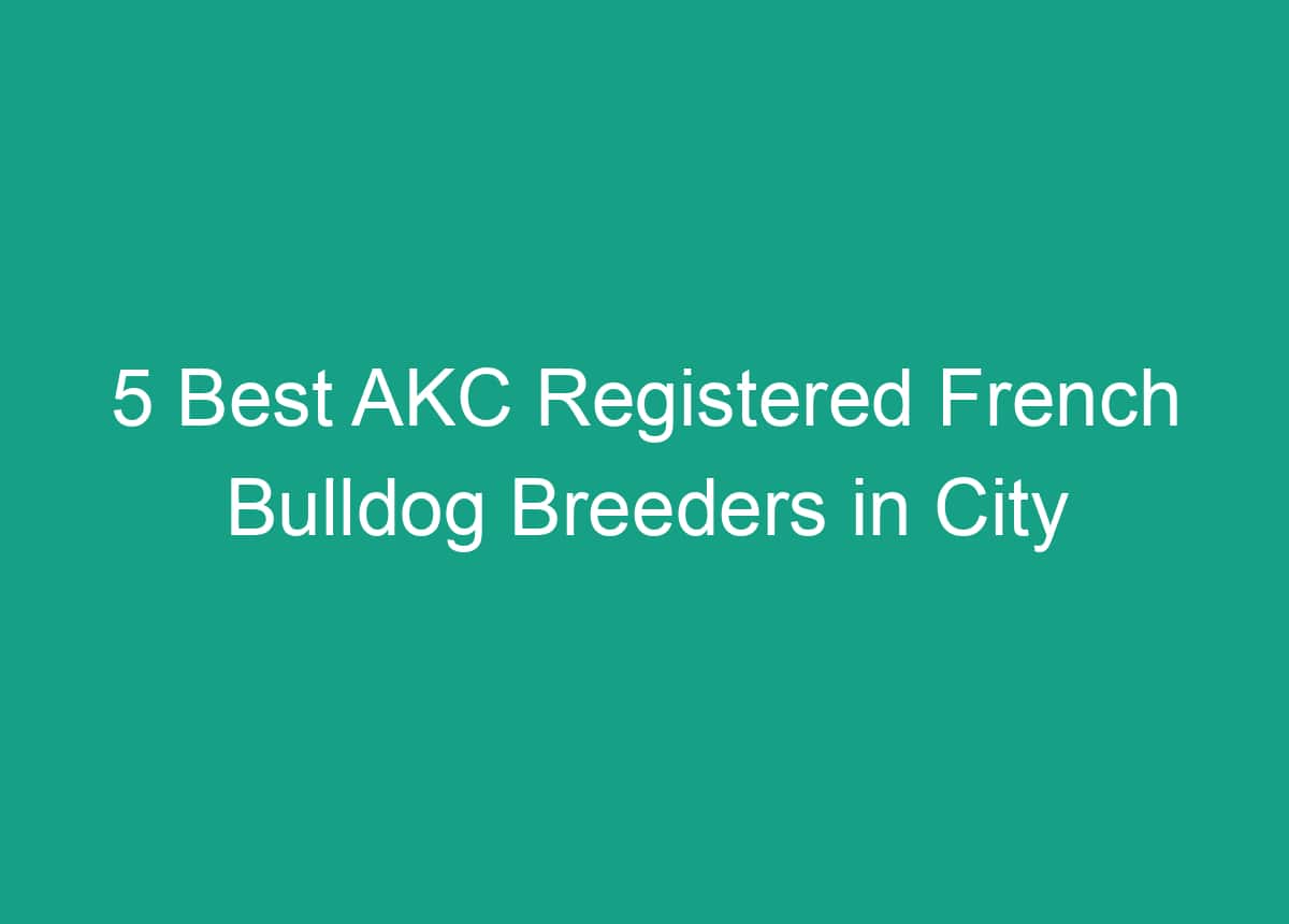 5 Best AKC Registered French Bulldog Breeders In City