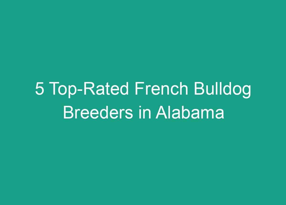 5 Top-Rated French Bulldog Breeders In Alabama