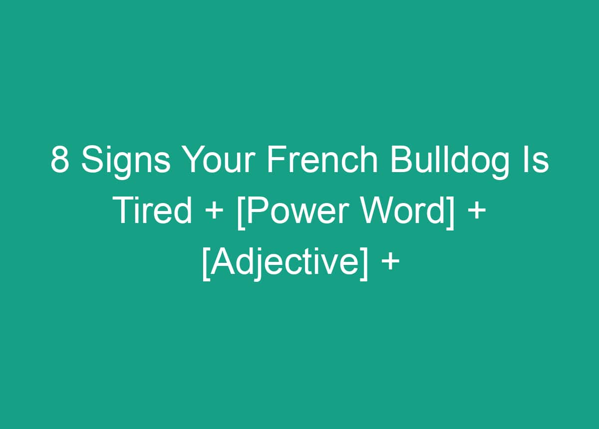 What Are The First Signs Of A French Bulldog Going Into Labor