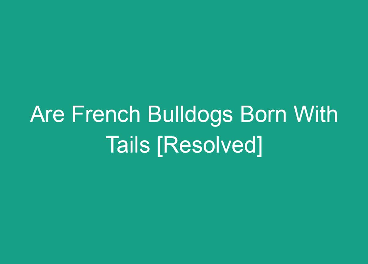 French Bulldog Anatomy Organs: A Comprehensive Guide