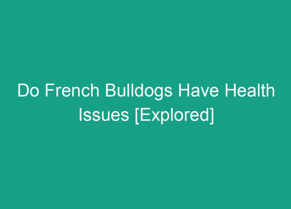 Merle French Bulldog Guide: Everything You Need To Know