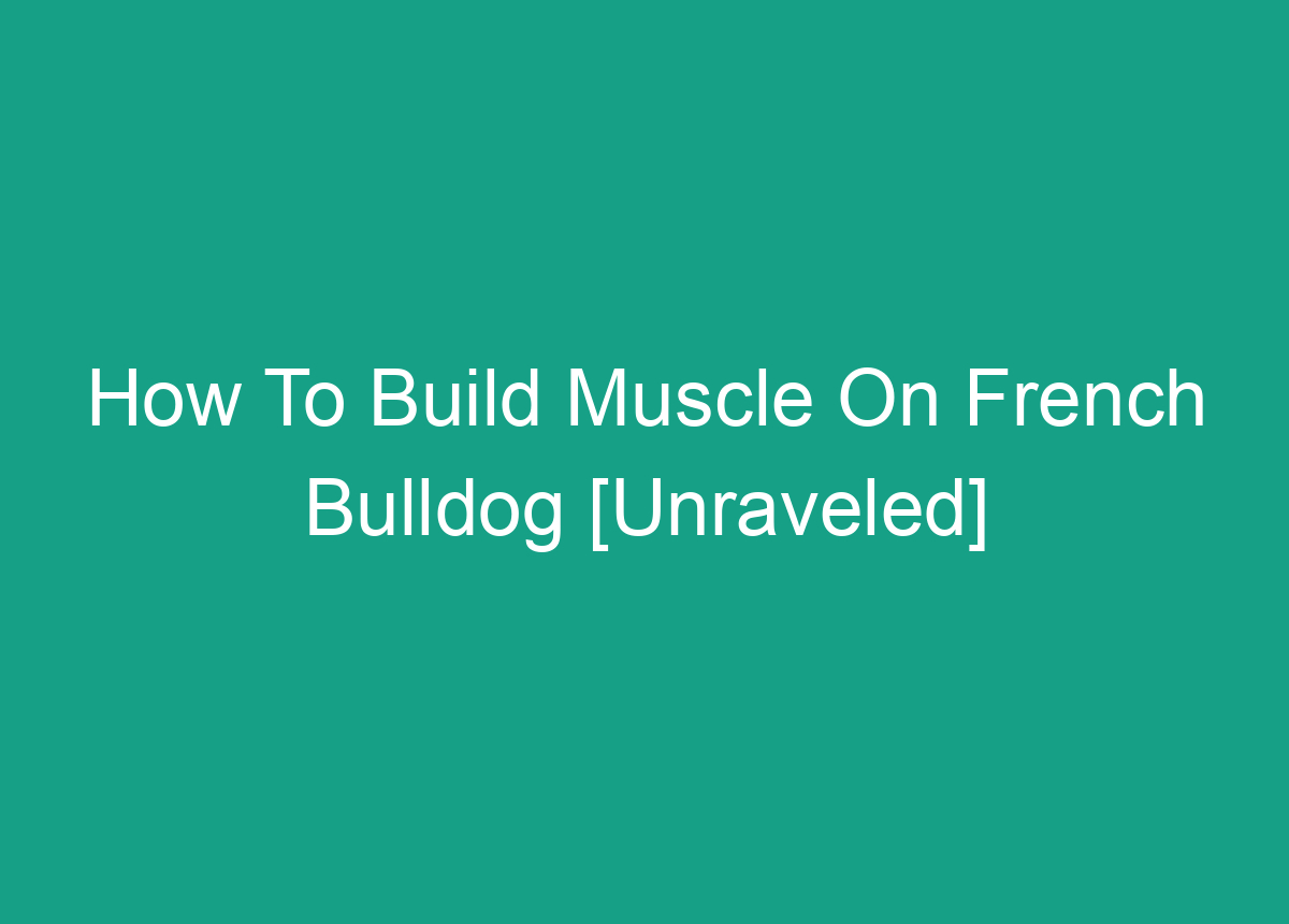How To Build Muscle On French Bulldog [Unraveled]