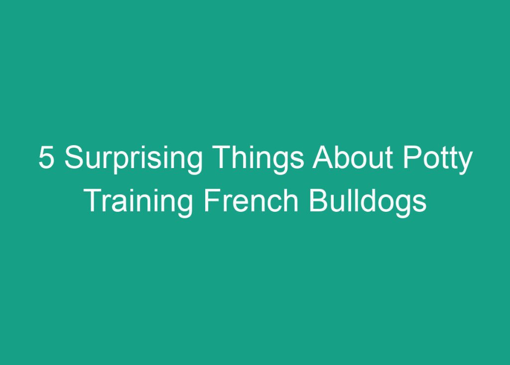 French Bulldog Health Problems: Common Issues And Preventive Measures
