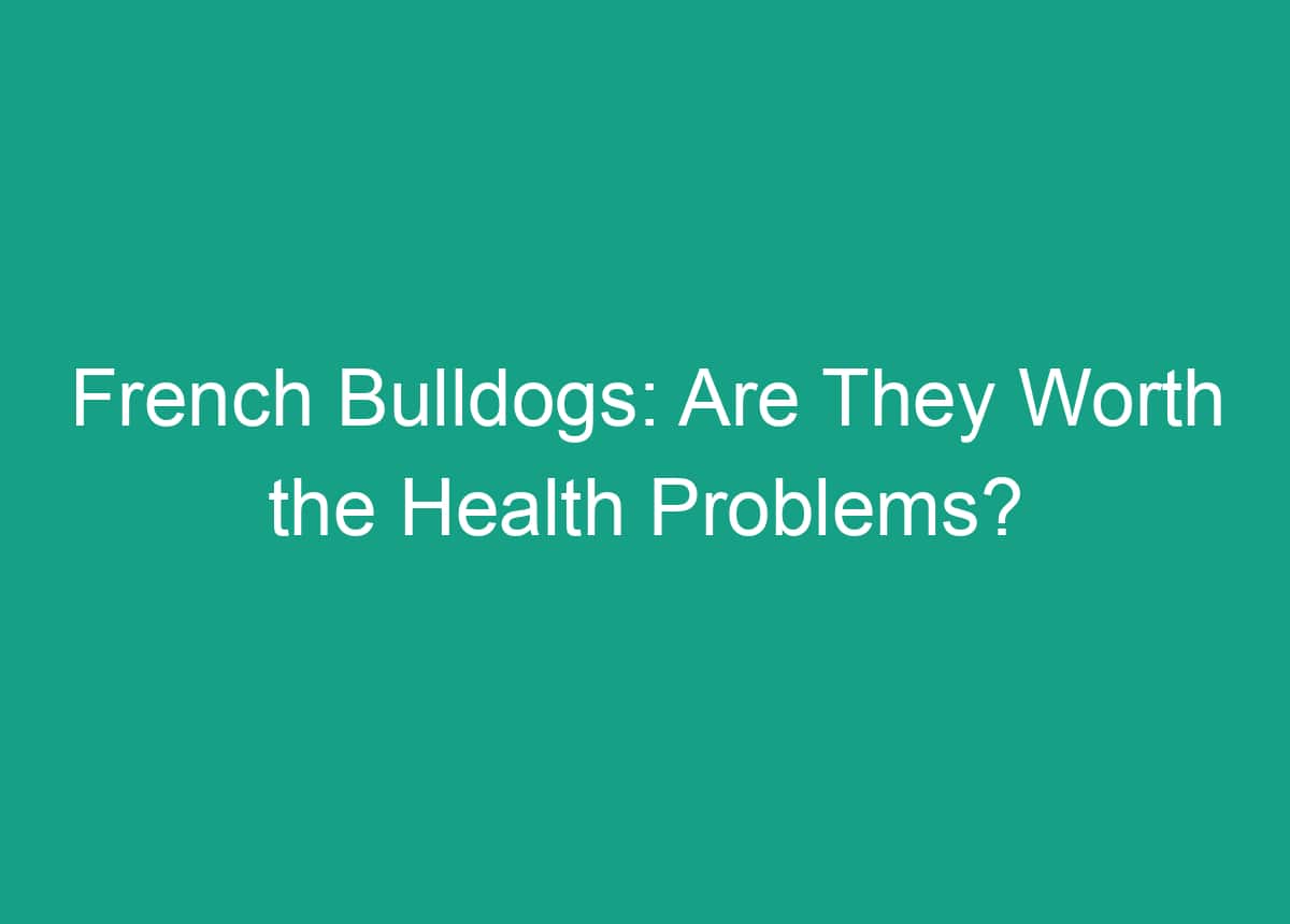 French Bulldogs: Are They Worth The Health Problems?