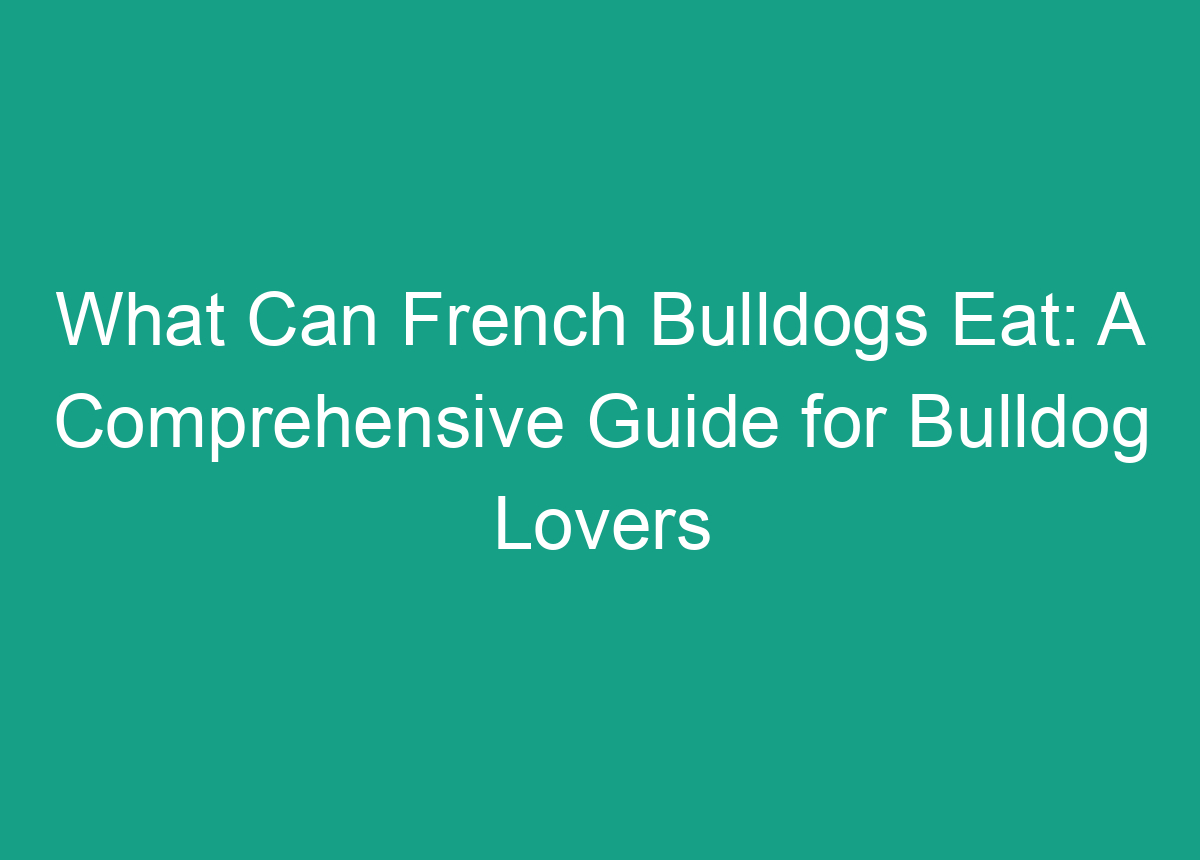 French Bulldog Size Guide: Everything You Need To Know
