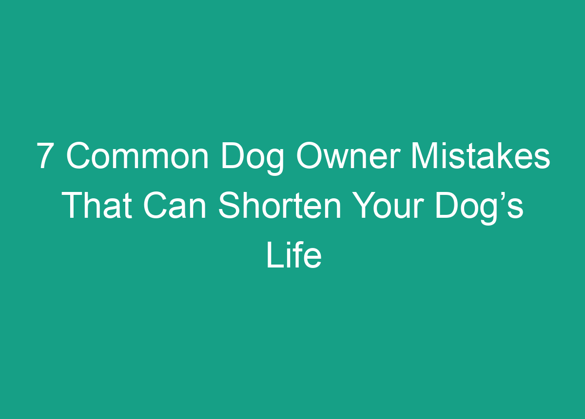 7 Common Dog Owner Mistakes That Can Shorten Your Dog’s Life