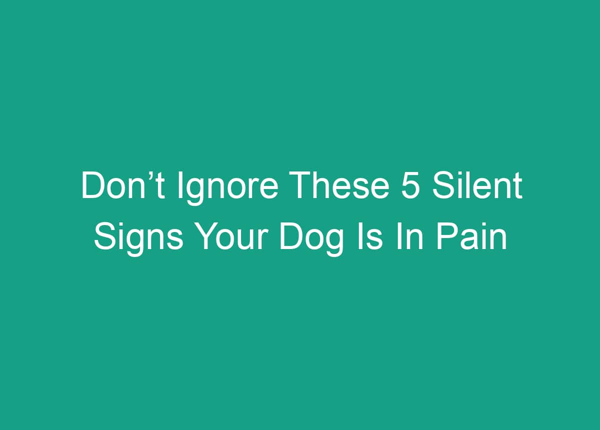 Don’t Ignore These 5 Silent Signs Your Dog Is In Pain